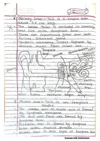 Anatomy Important Questions Pdf