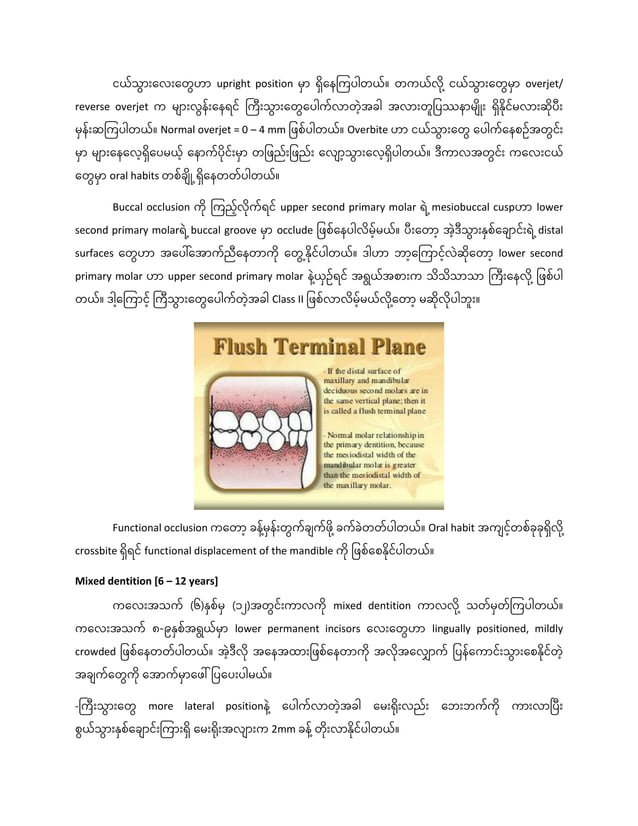Short Notes On Basic Clinical Orthodontics 16 10 2023 Pdf