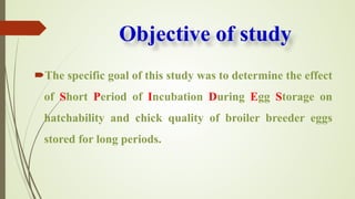Short period of incubation during egg storage | PDF
