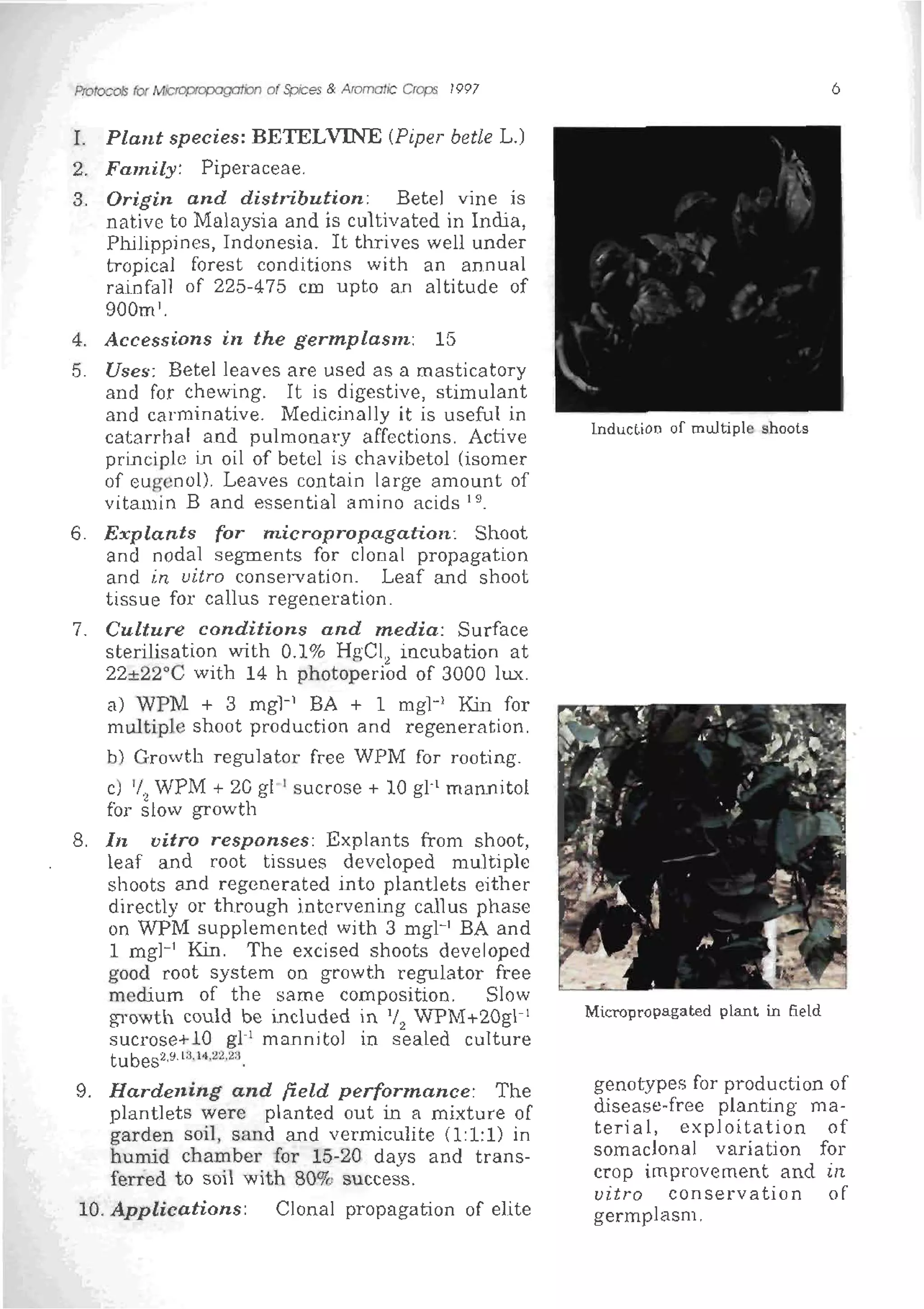 Short protocols for micropropagation | PDF