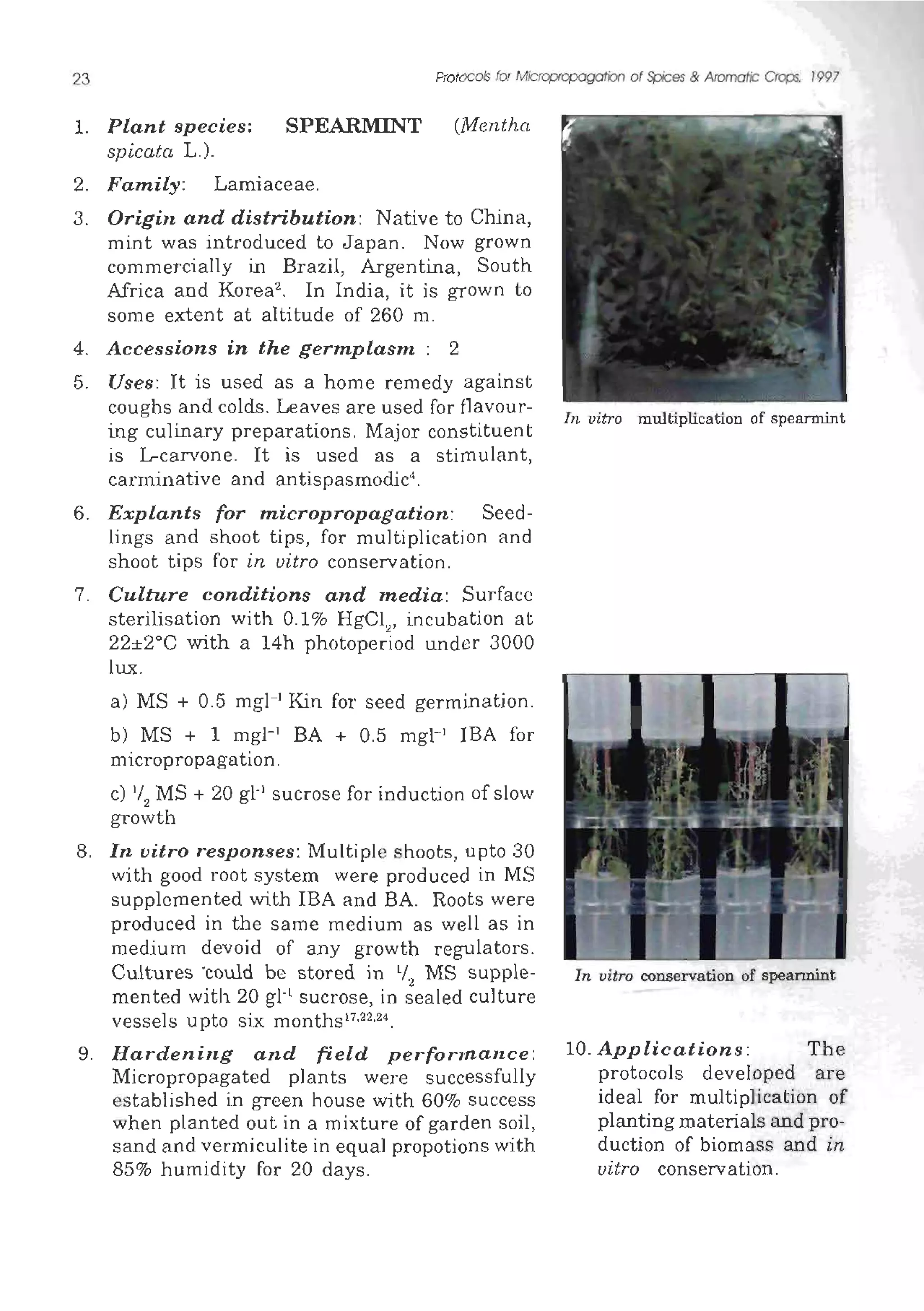 Short protocols for micropropagation | PDF