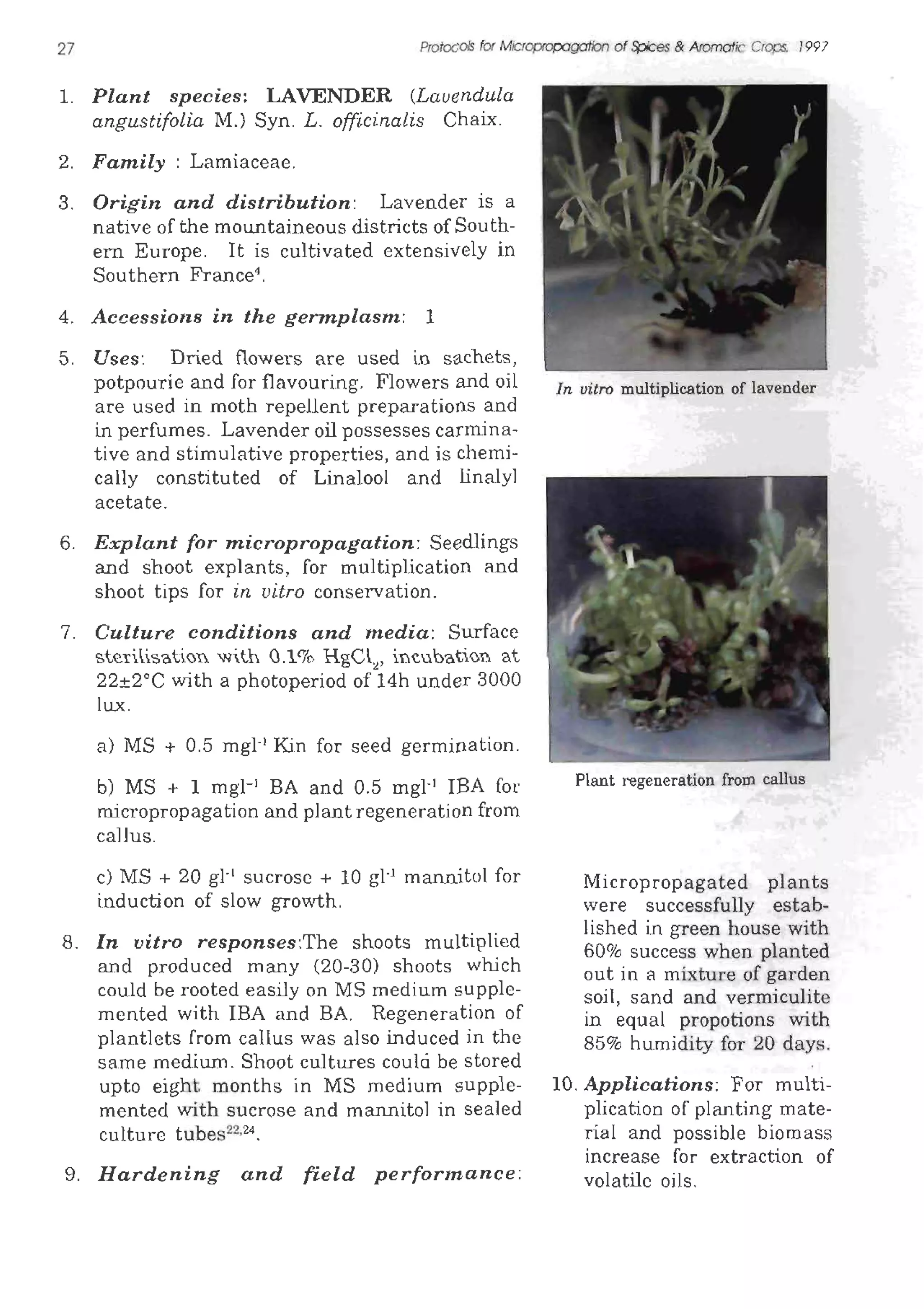 Short protocols for micropropagation | PDF