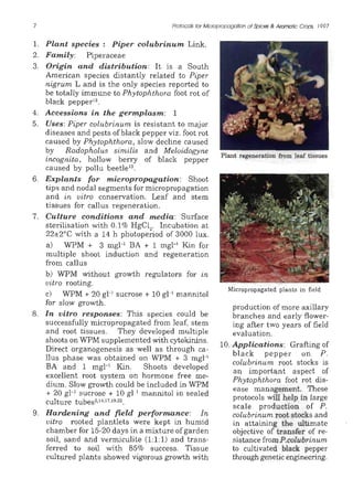 Short protocols for micropropagation | PDF