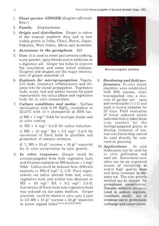 Short protocols for micropropagation | PDF