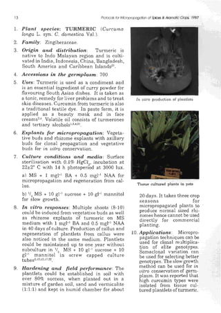Short protocols for micropropagation | PDF
