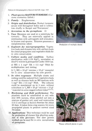 Short protocols for micropropagation | PDF