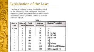 SHORT RUN production function | PPTX