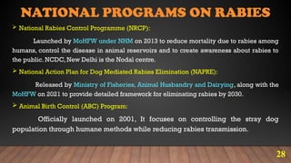 A Short talk on World Rabies day 2024 theme | PPT