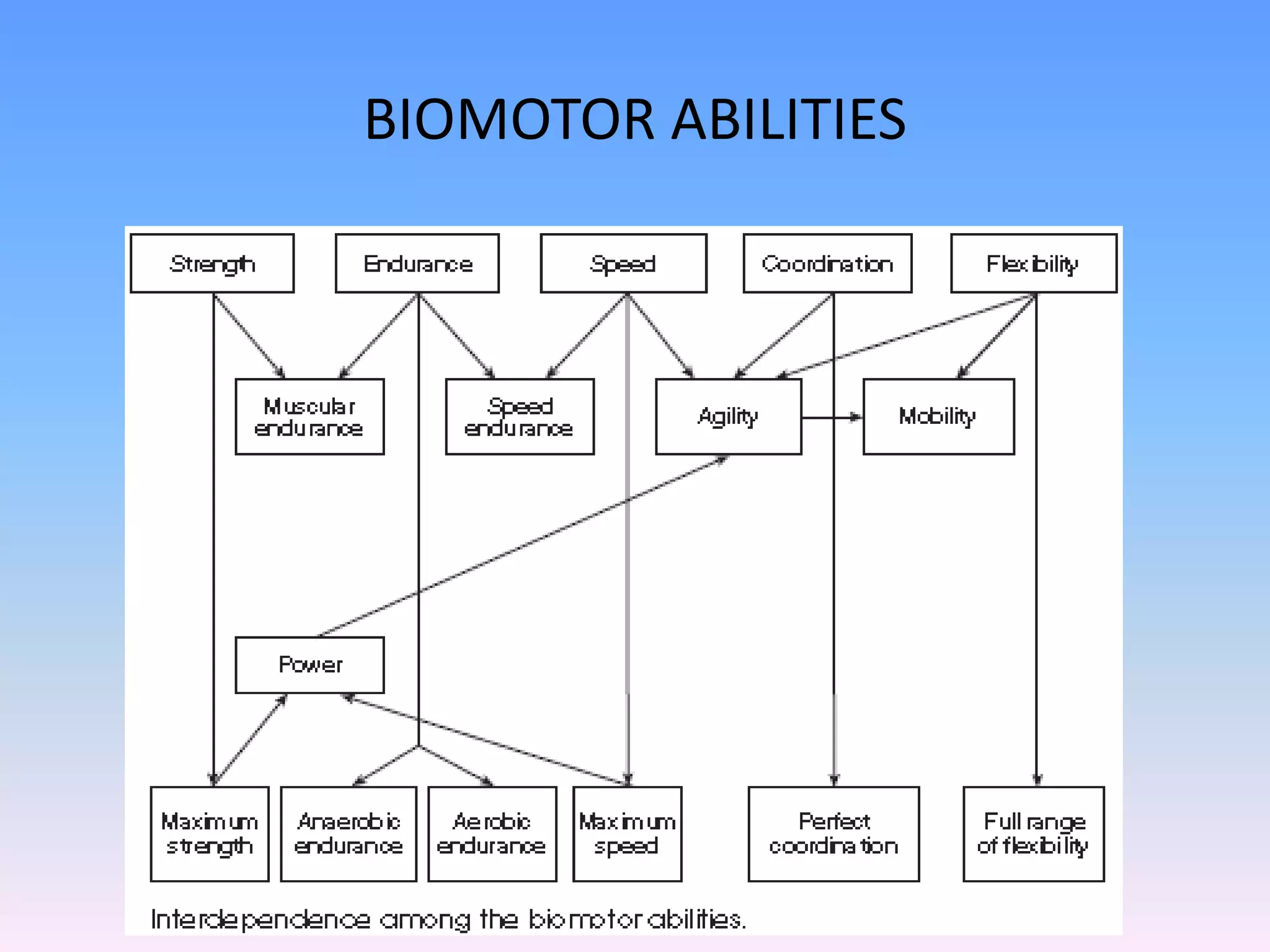 Short term plan microcycle part 1 | PDF