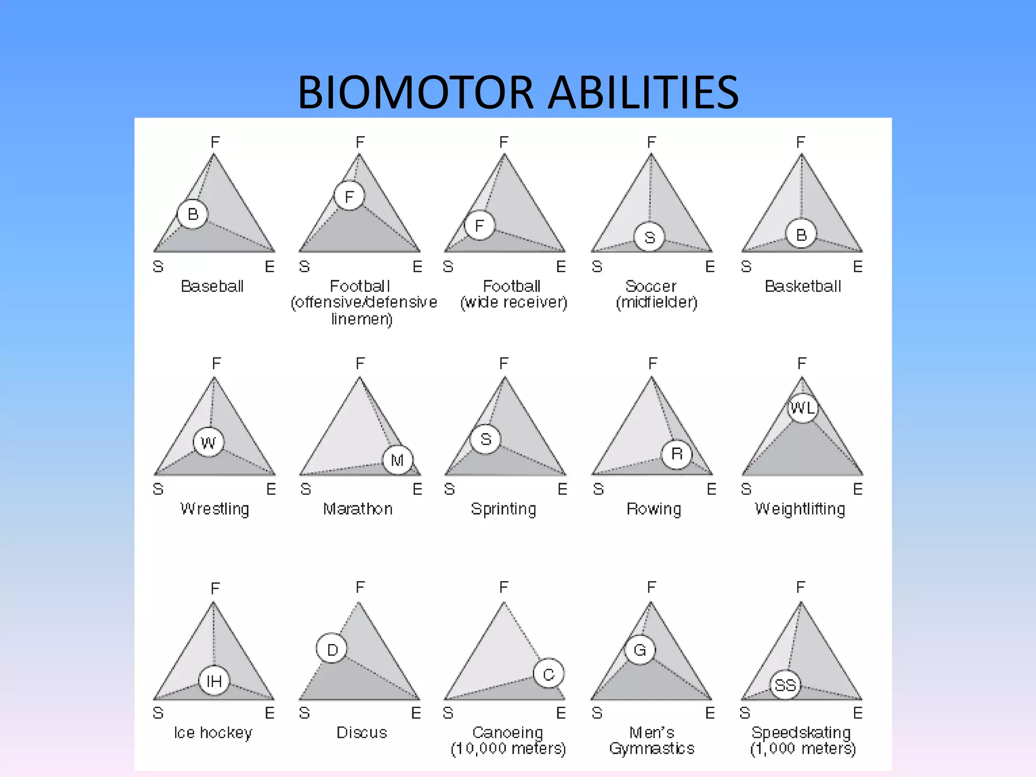 Short term plan microcycle part 1 | PDF