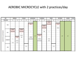 Short term plan microcycle part 1 | PDF