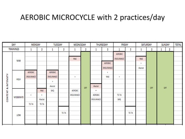 Short term plan microcycle part 1 | PDF
