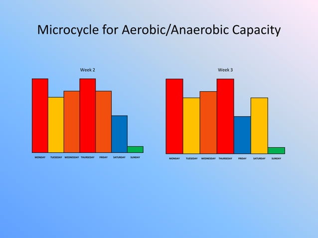 Short term plan microcycle part 2 | PDF | Physical Therapy | Wellness