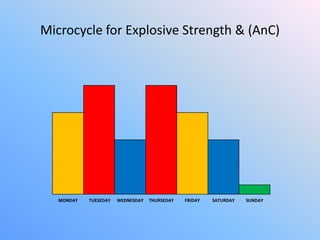 Short term plan microcycle part 2 | PDF | Physical Therapy | Wellness
