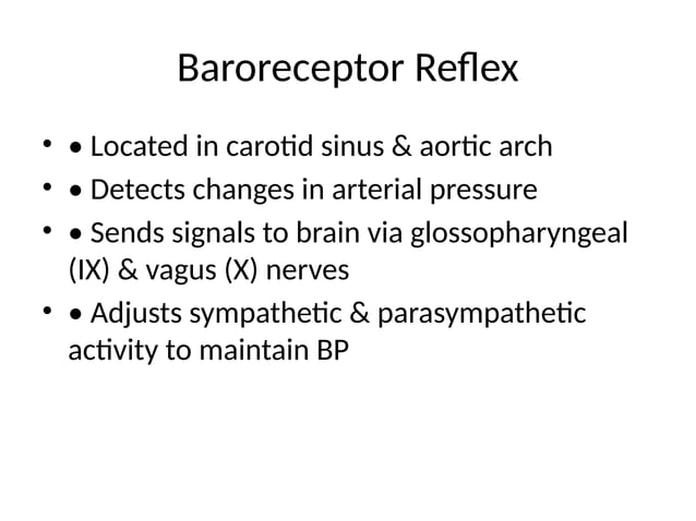 Short_Term_BP_Regulation.pptxbsbdbdbdbehrhrhrbrbthtbtjtjjtkttktkjttj | PPTX