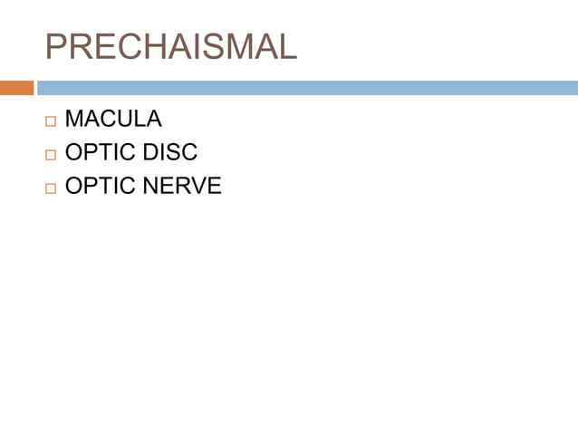 Cranial Nerves - Olfactory Optic Oculomotor Abducent Trochlear | PPTX