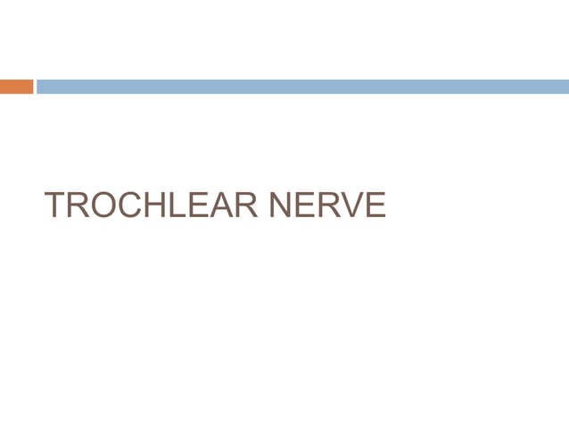 Cranial Nerves - Olfactory Optic Oculomotor Abducent Trochlear | PPTX
