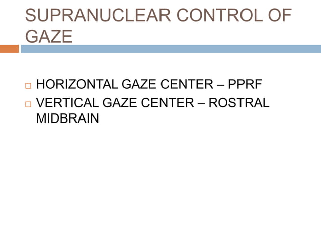 Cranial Nerves - Olfactory Optic Oculomotor Abducent Trochlear | PPTX