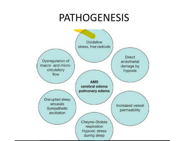 High Altitude Pulmonary Edema - Mountain Sickness - HAPE | PPTX
