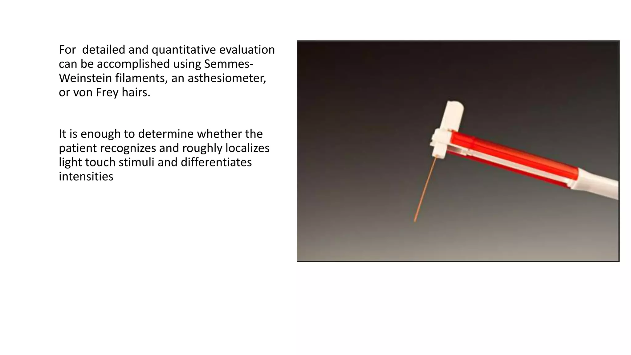 Examination of Posterior Column of Spinal Cord - Sensory Examination | PPTX
