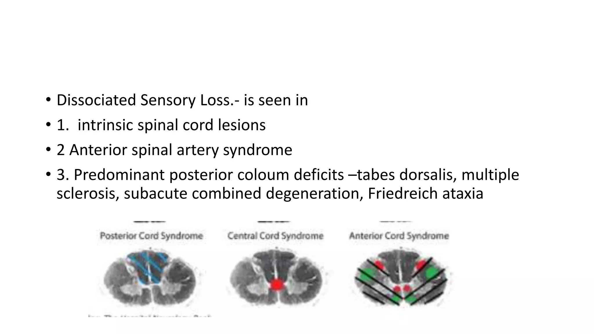 Examination of Posterior Column of Spinal Cord - Sensory Examination | PPTX