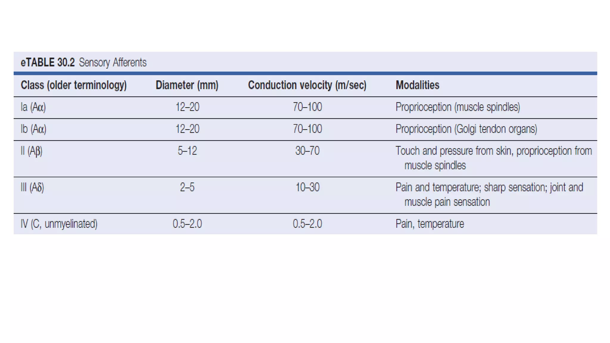 Examination of Posterior Column of Spinal Cord - Sensory Examination | PPTX