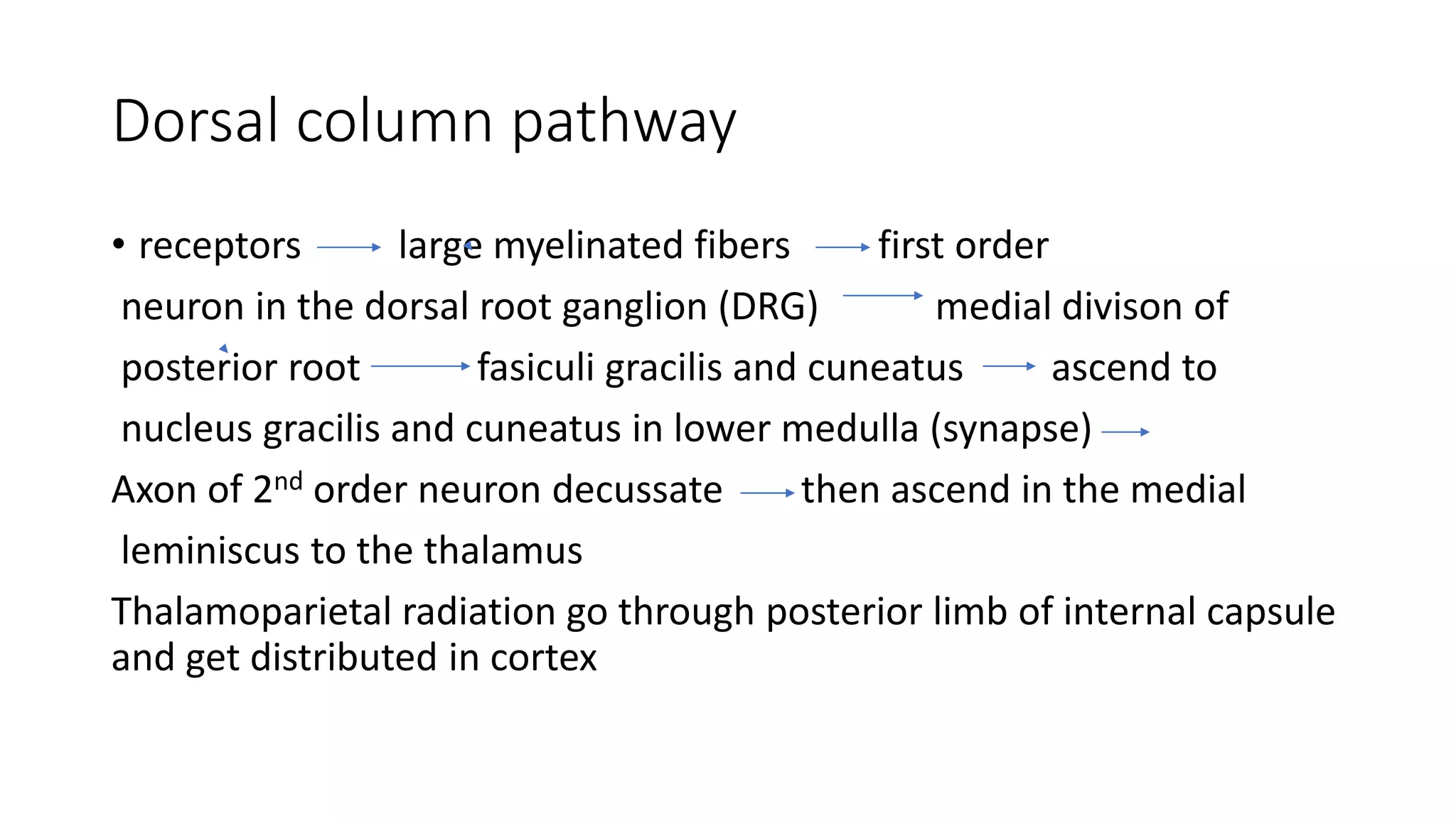 Examination of Posterior Column of Spinal Cord - Sensory Examination | PPTX