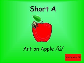 Short Vowels.ppt | Beekeeping | Hobbies & Interests