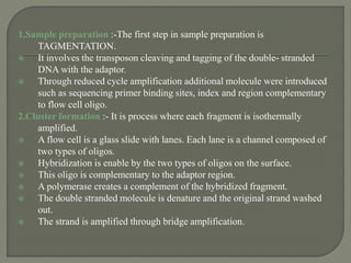Shotgun (2) metagenomics | PPTX