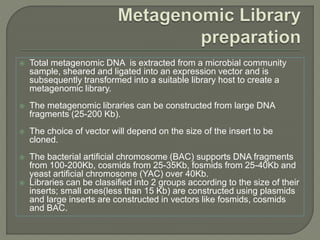 Shotgun (2) metagenomics | PPTX