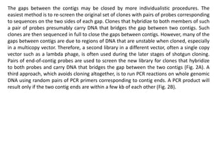 Shotgun and clone contig method | PPTX