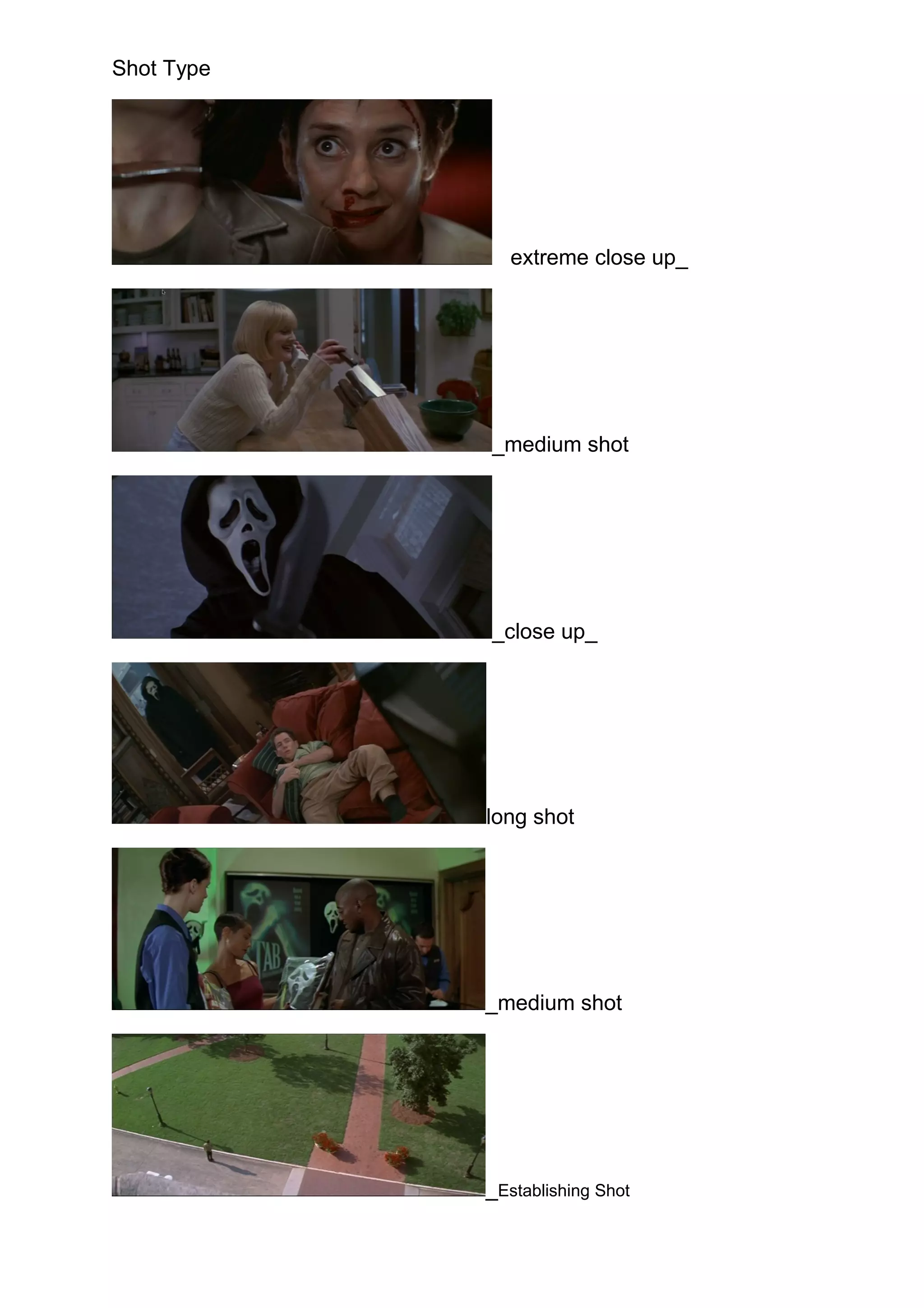 Shot type for scream images | PDF