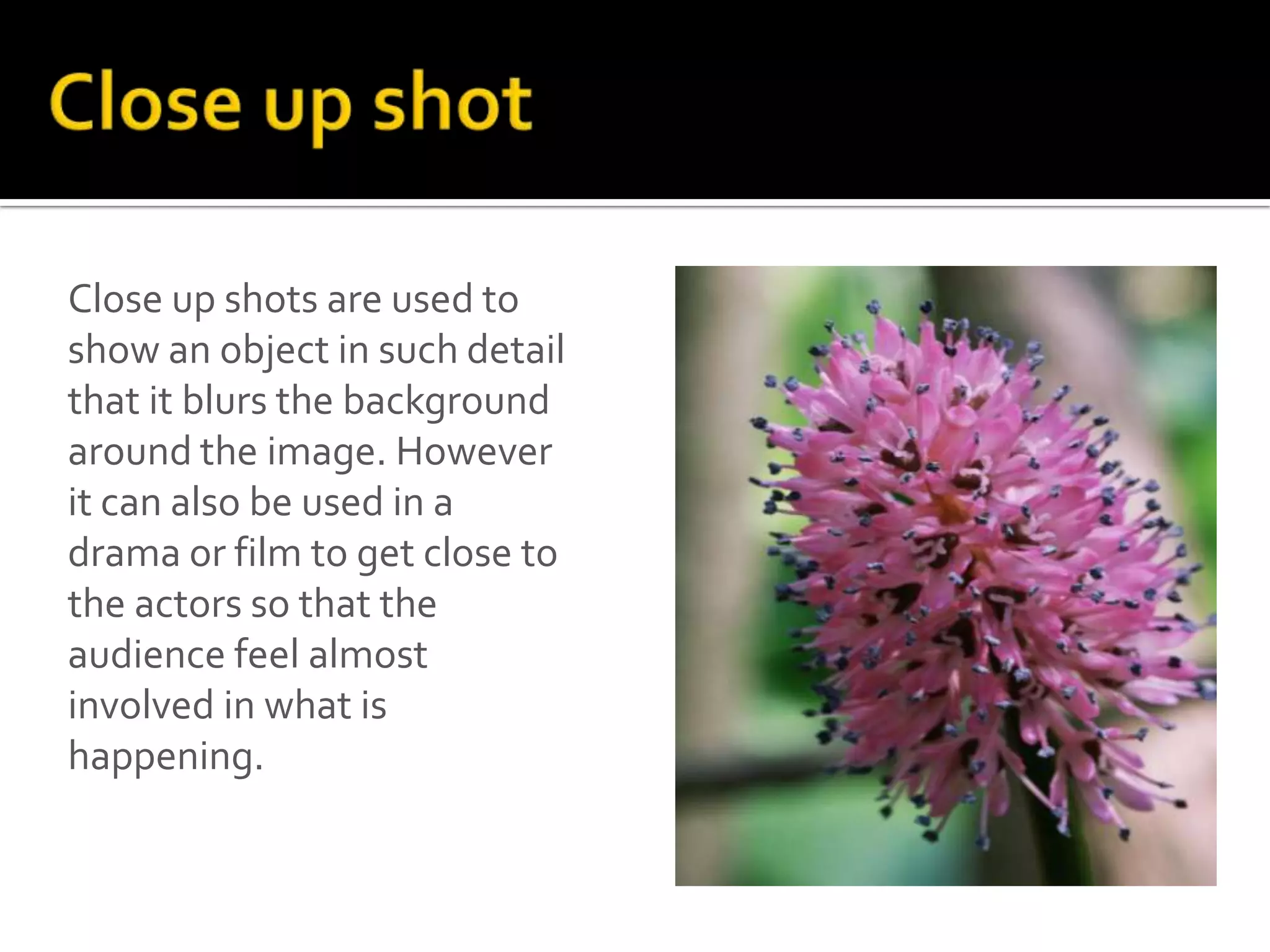 Identifying Camera Angles & Shots | PPTX