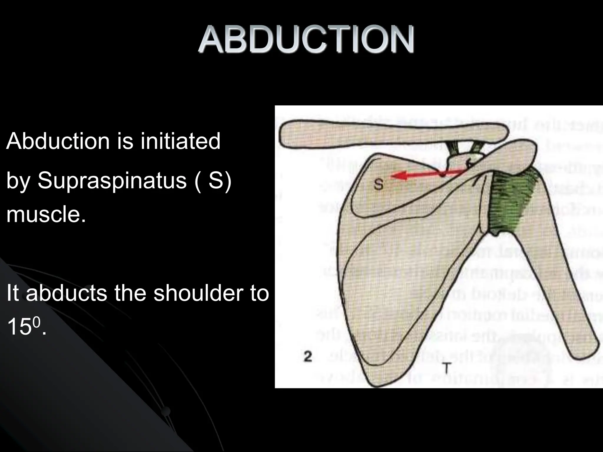 Shouder joint.pptx documentary ppt presented | PPTX