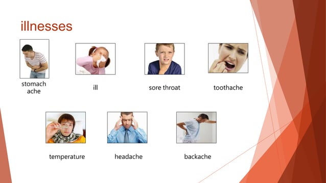 Verb should and Illnesses | PPT