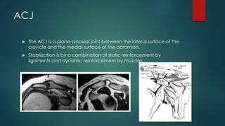 RADIOLOGICAL ANATOMY OF UPPER LIMB(SHOULDER@ELBOW) | PPTX