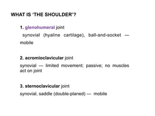 Shoulder Joint Anatomy