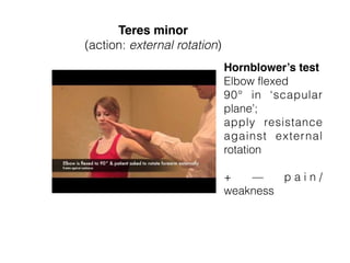 Shoulder anatomy and pathology | PDF