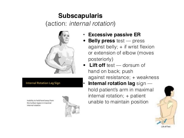 Shoulder anatomy and pathology