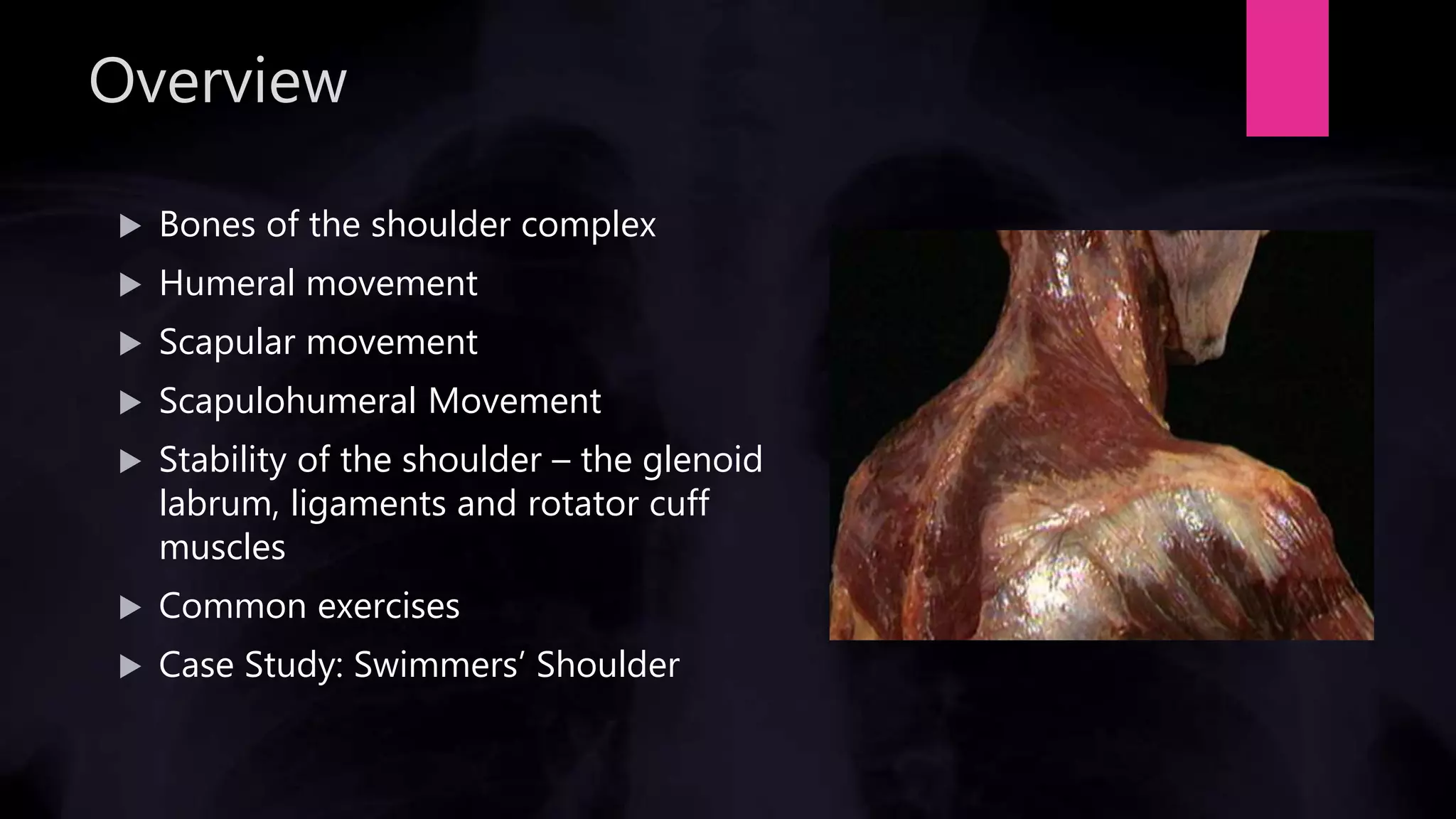 The Shoulder: Anatomy and Function | PPTX | Death, Injury, or Military ...