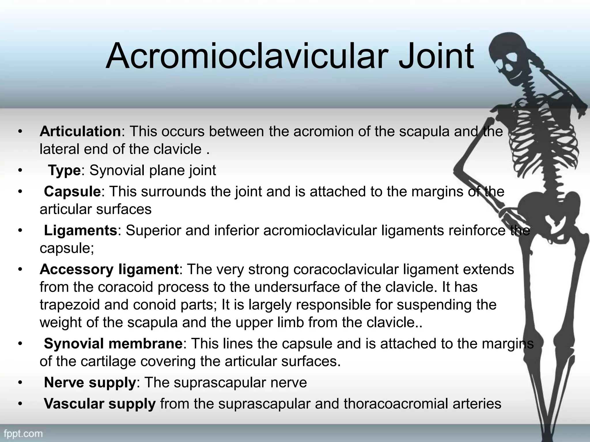 Shoulder | PPT
