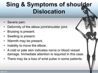 Shoulder | PPT