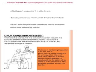 Shoulder Examination | PPT