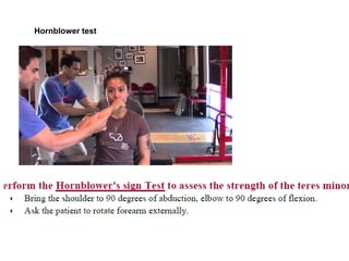 Shoulder Examination | PPT