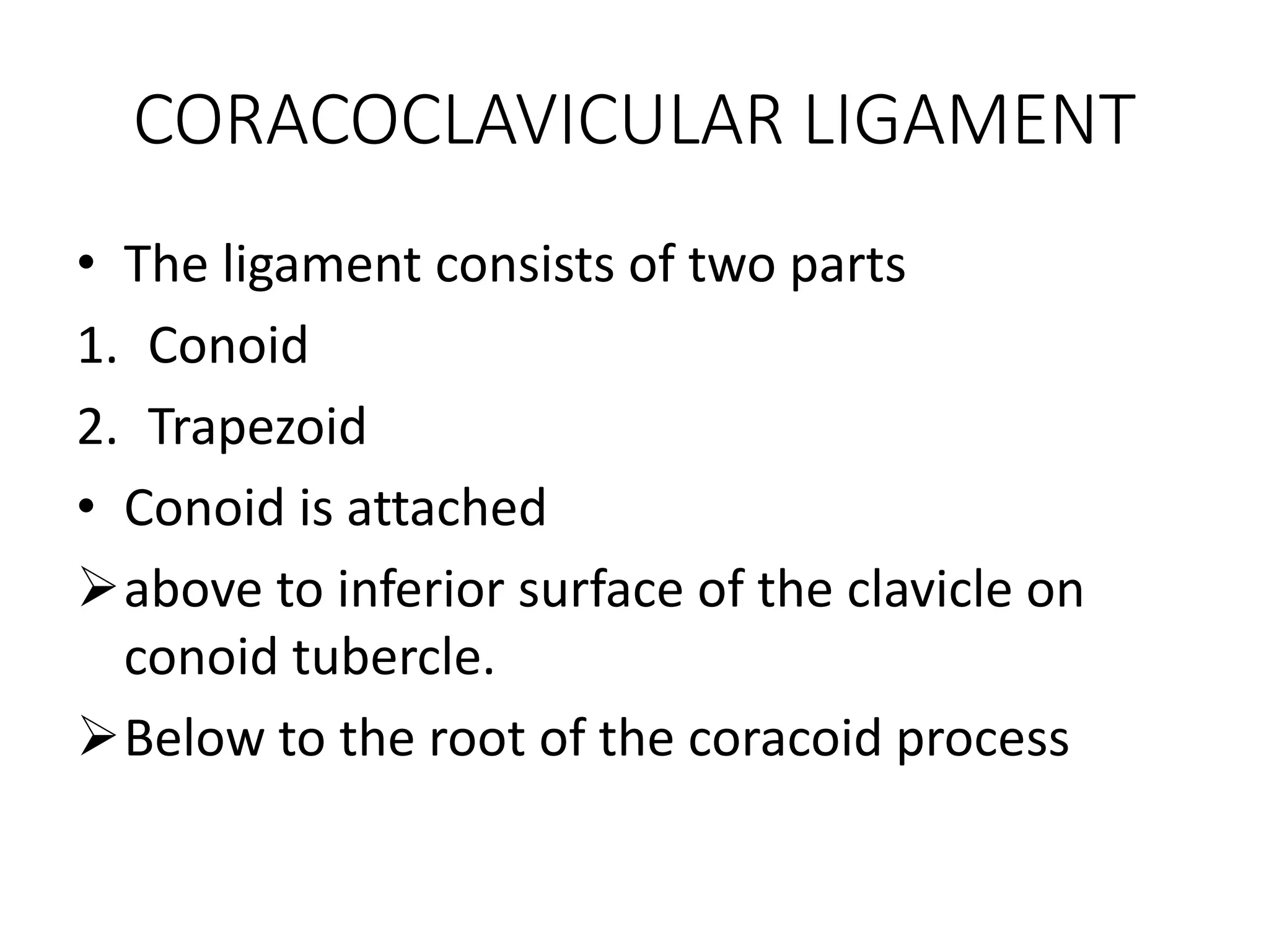 anatomy and biomechanics of Shoulder joint | PPT
