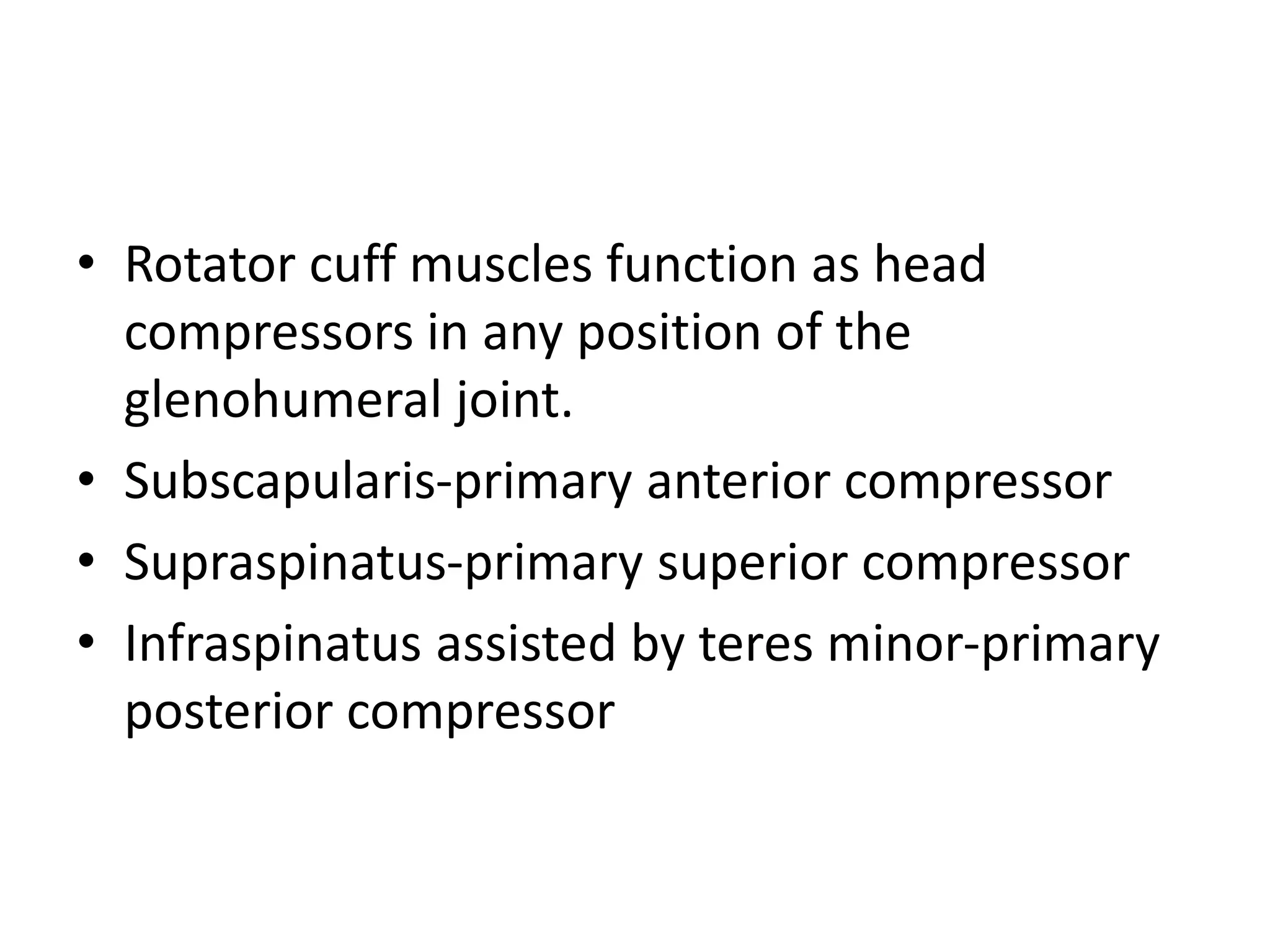 anatomy and biomechanics of Shoulder joint | PPT