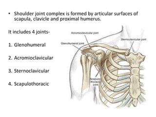anatomy and biomechanics of Shoulder joint | PPT