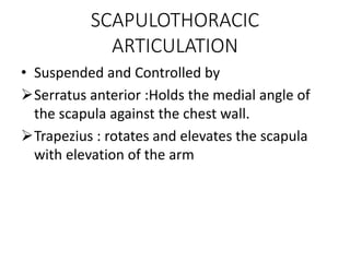 anatomy and biomechanics of Shoulder joint | PPT