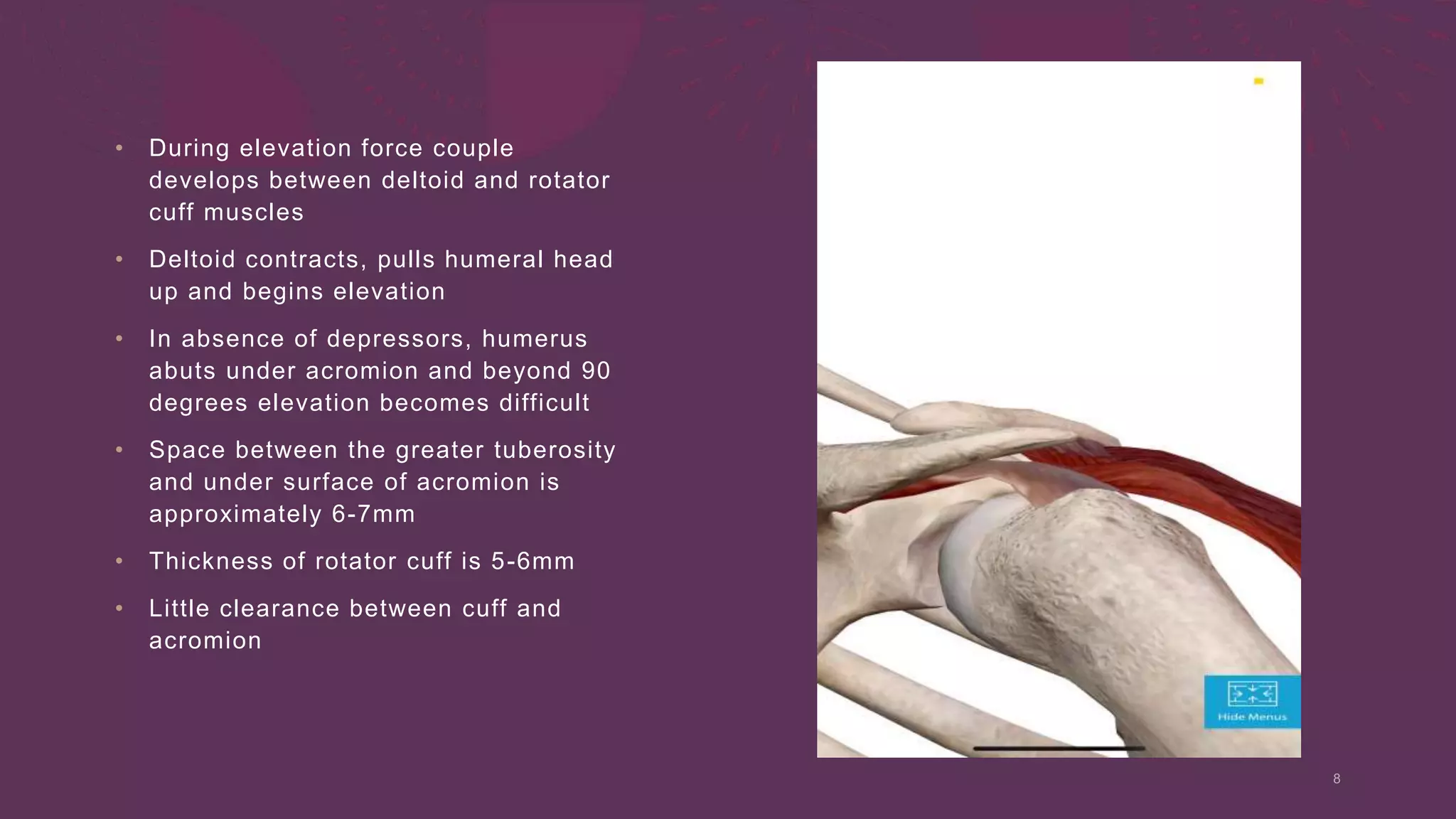 Shoulder Impingement - conservative management overview | PPSX | Death ...