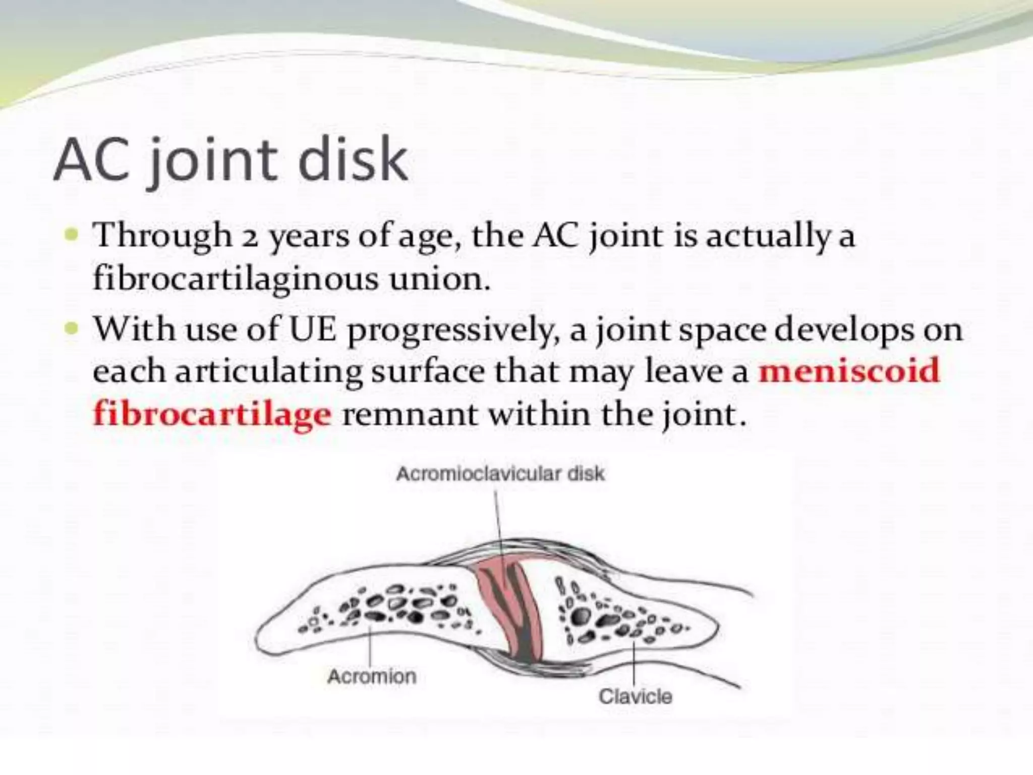 Anatomy and Biomechanics of shoulder complex | PPTX
